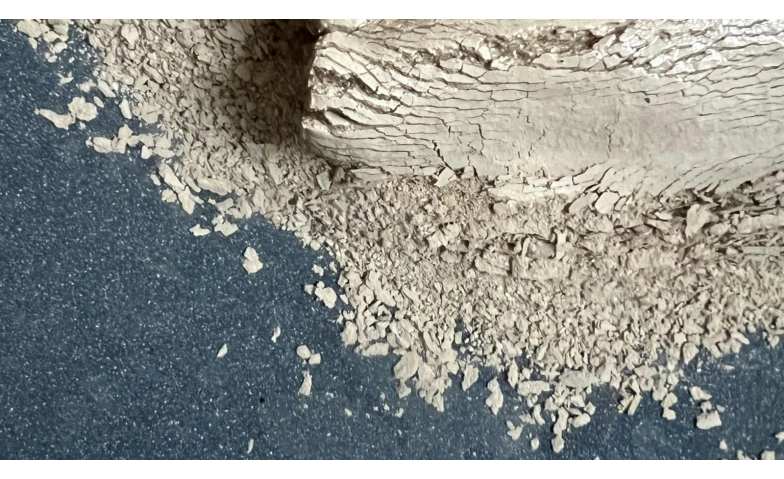 bárbara nimke - rest:los in St. Gallen | Art & Exhibitions