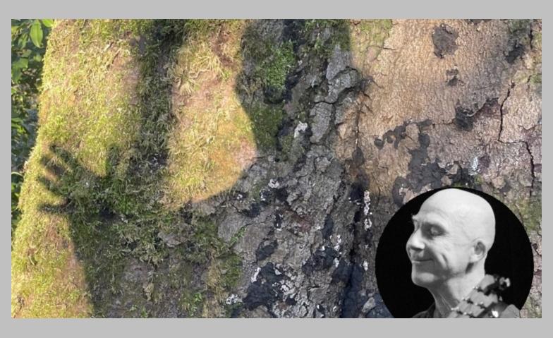 Simon Weiland: Im Wald in Kreuzlingen | Concert